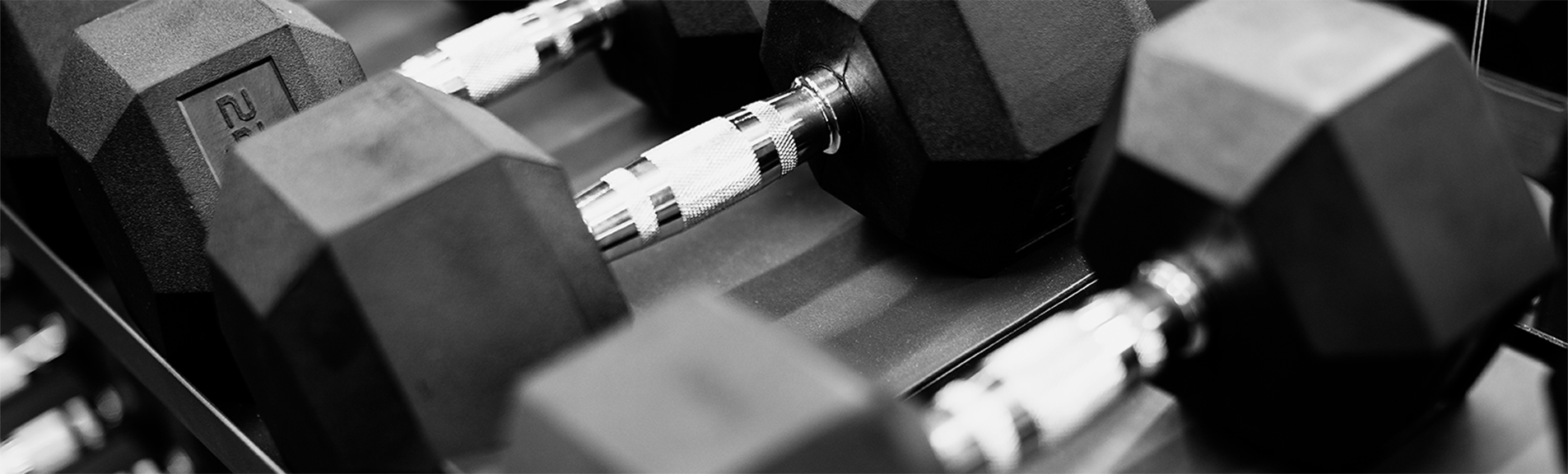 DUMBBELLS – Epic Fitness